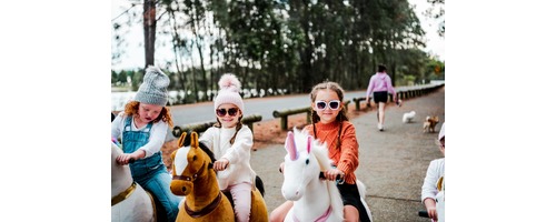 Articles Magical mechanical ride on animals